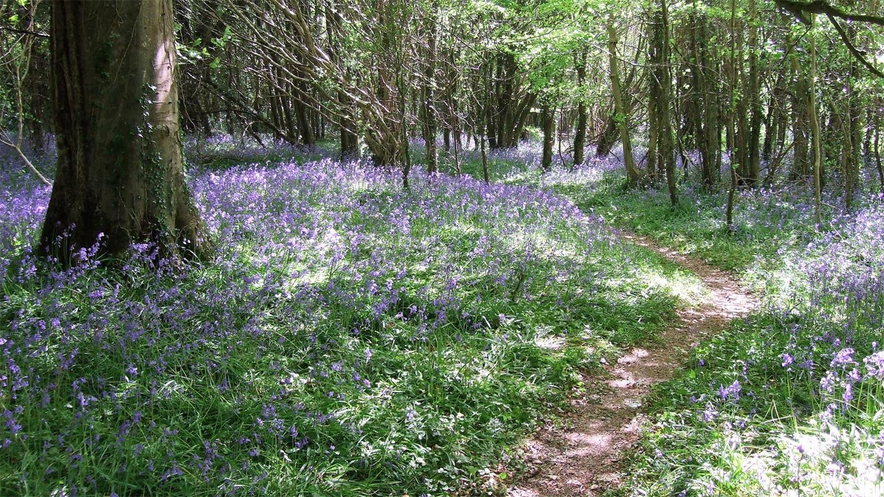 Bannow Bay Special Protection Area - South Wexford Coast